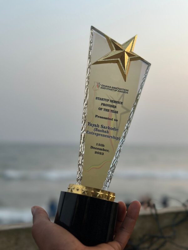 Overcoming Common Challenges Faced by Entrepreneurs - Baobab entrepreneur