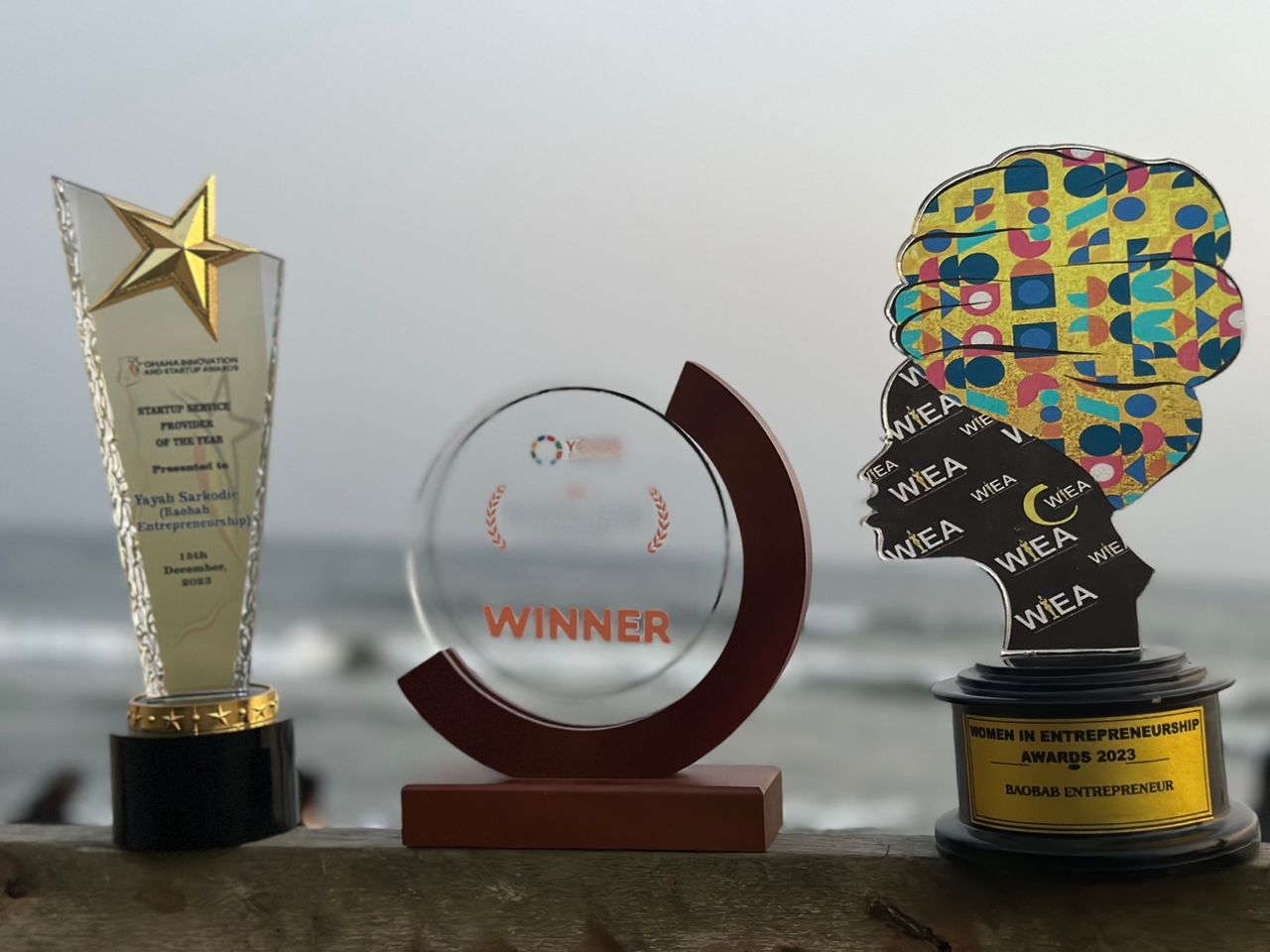 Overcoming Common Challenges Faced by Entrepreneurs - Baobab entrepreneur